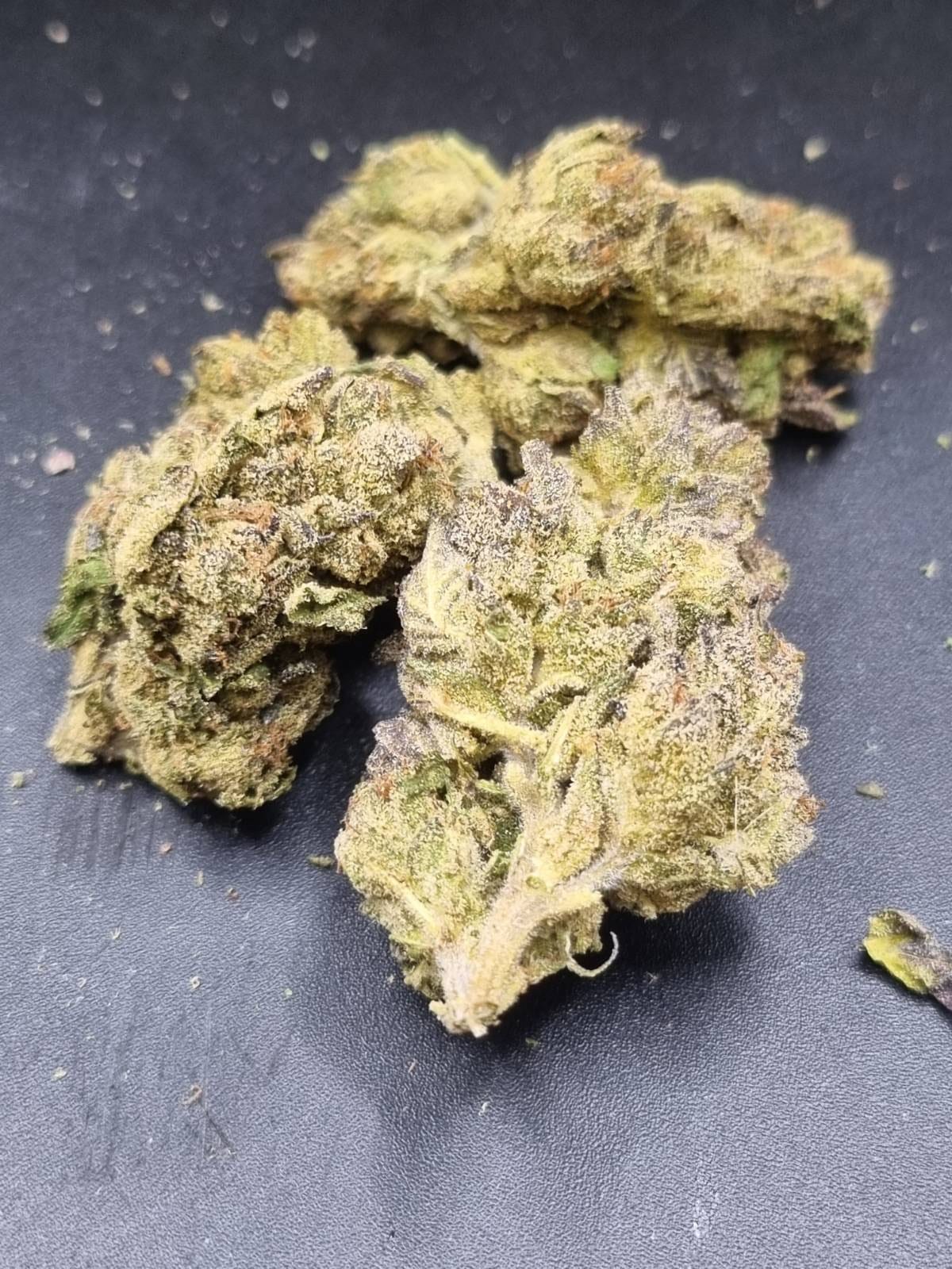 After eight (Exotic weed) - Funkel Weed Farms UK